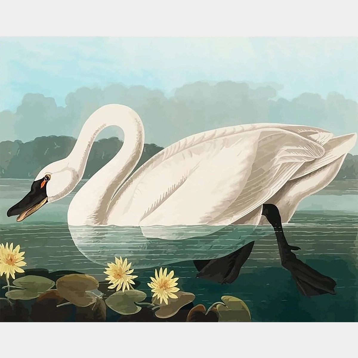 Common American Swan Diamond Painting Kit - Elegance in Nature